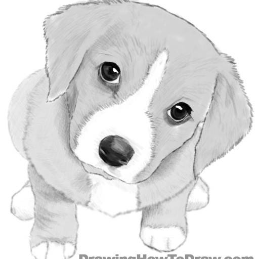 Master the Art of Drawing Easy: Simple Tutorials for Beginners