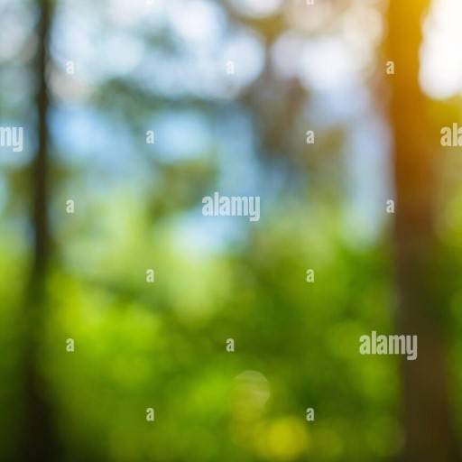 Mesmerizing Blur Background HD Images for Captivating Visuals