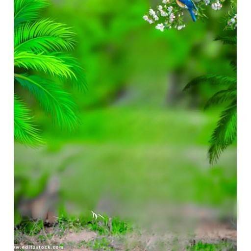 Mesmerizing Blur Background HD Images for Captivating Visuals