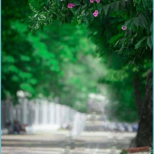 Mesmerizing Blur Background HD Images for Captivating Visuals