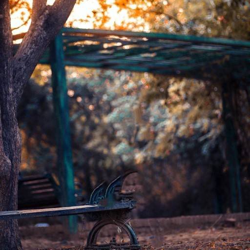 Mesmerizing Blur Background HD Images for Captivating Visuals