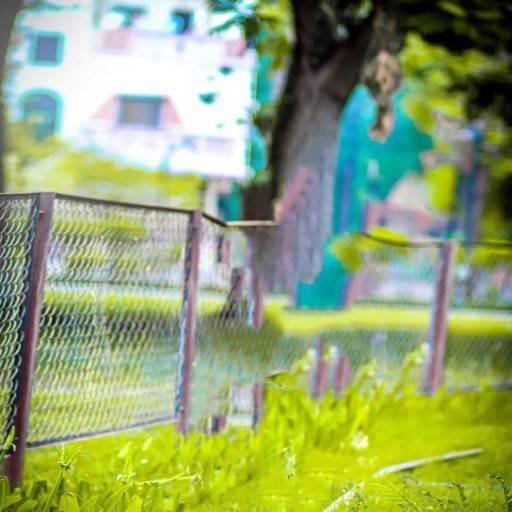 Mesmerizing Blur Background HD Images for Captivating Visuals