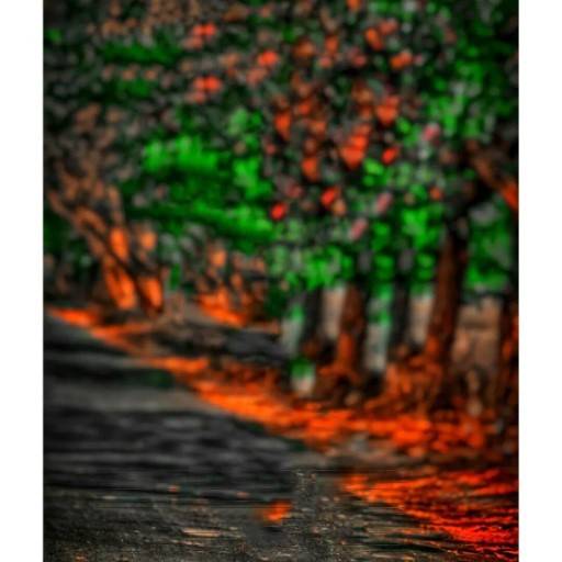 Mesmerizing Blur Background HD Images for Captivating Visuals